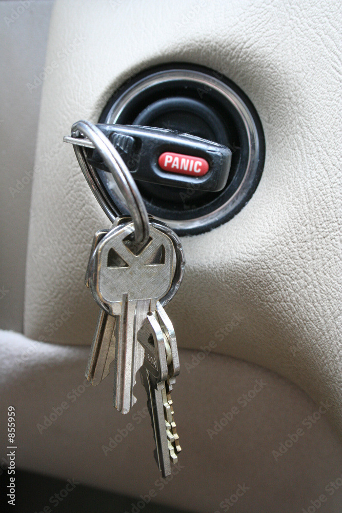 panic button in car