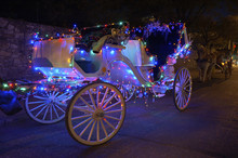 Carriage Ride Free Stock Photo - Public Domain Pictures