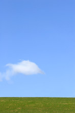 Vegetation On Open Field With Hill Free Stock Photo - Public Domain ...