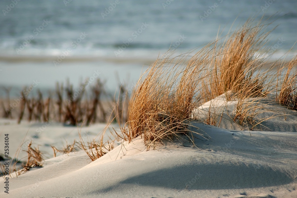 dünen auf sylt - Fototapete bei efototapeten.de