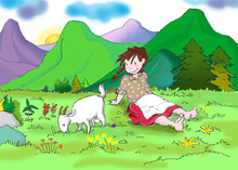 Heidi Doll Face Free Stock Photo - Public Domain Pictures