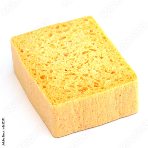 Photo Stock éponge | Adobe Stock