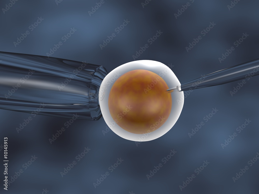 3D illustration of an in vitro cloning assay Stock Illustration | Adobe ...
