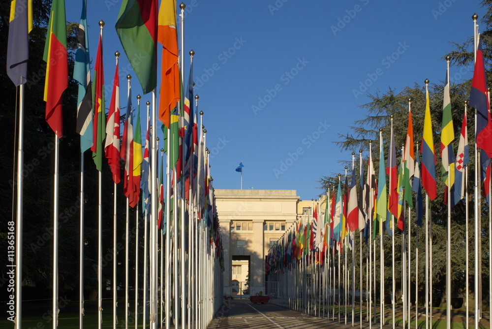 rows of international flags Stock Photo | Adobe Stock