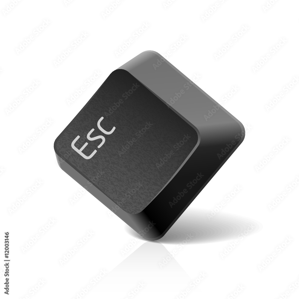 Vector escape key Stock Vector | Adobe Stock