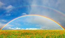 Rainbow And Rain Free Stock Photo - Public Domain Pictures