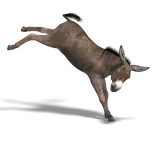 Magar Clipart Ilustrație Poza gratuite - Public Domain Pictures