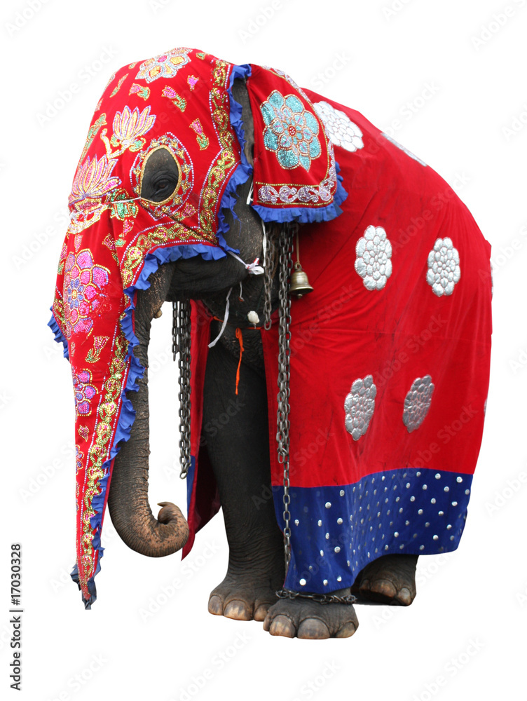 Elephant - Esala perahera Stock Photo | Adobe Stock