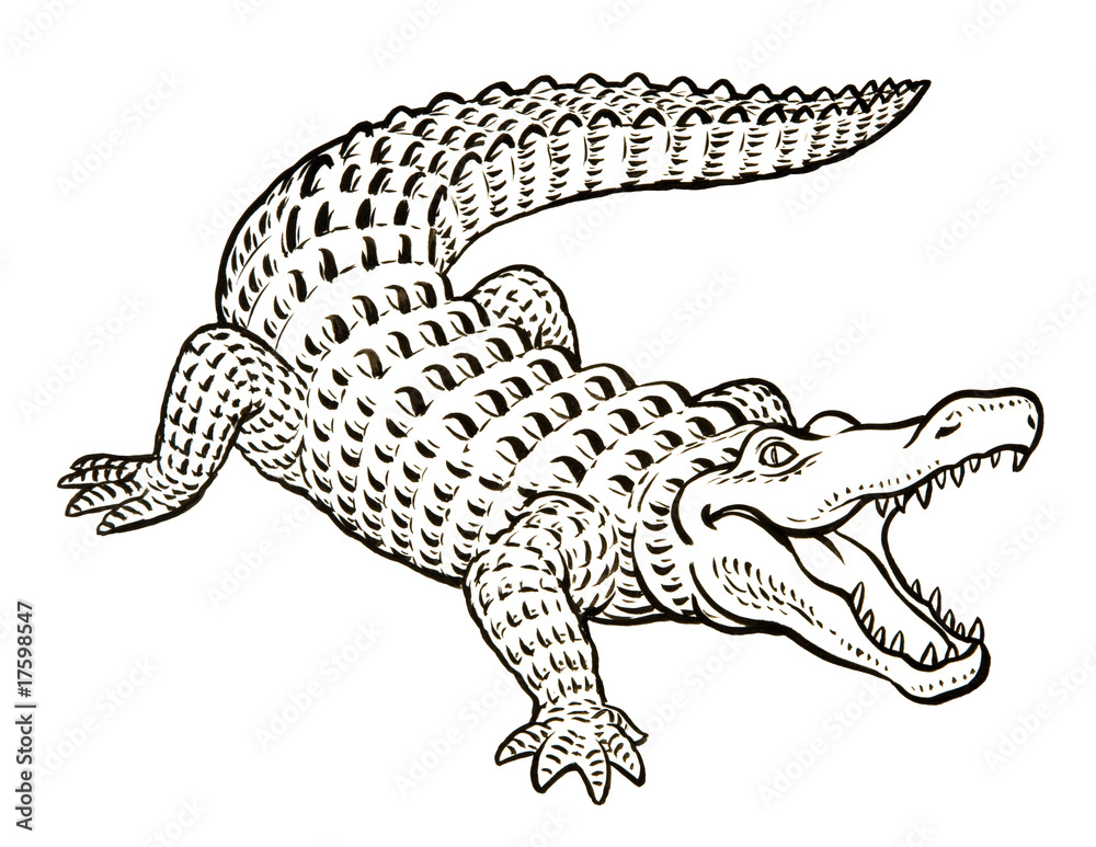 Krokodil Stock Photo | Adobe Stock