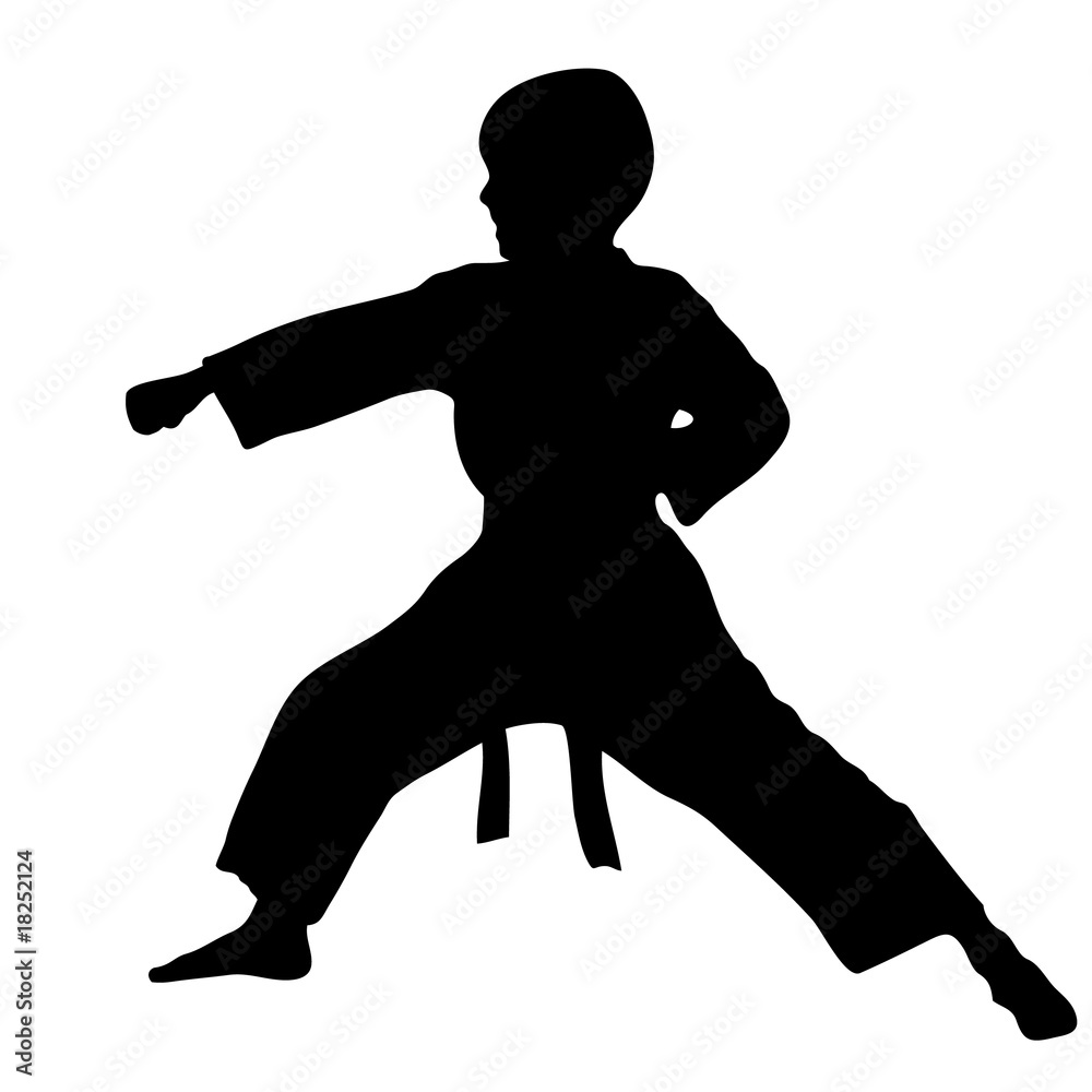 boy karate punch Stock Illustration | Adobe Stock