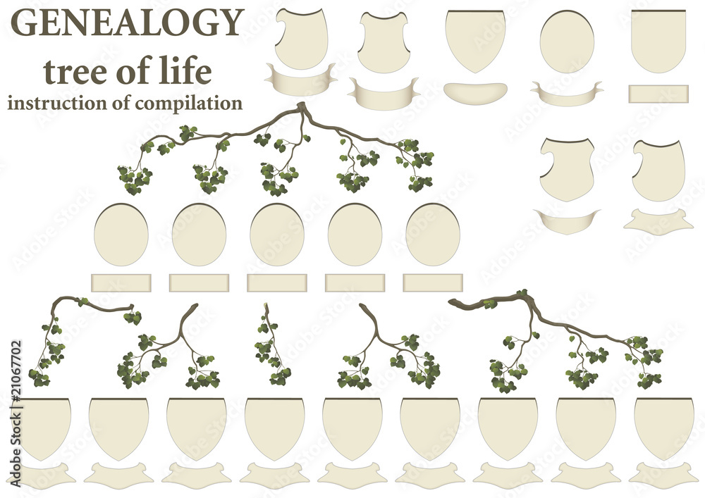 tree of life - genealogy Stock Vector | Adobe Stock