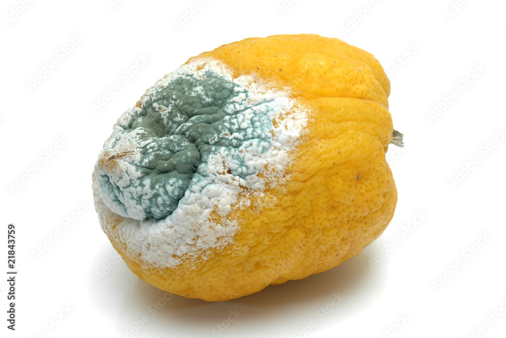 Foto de Stock Limon podrido | Adobe Stock
