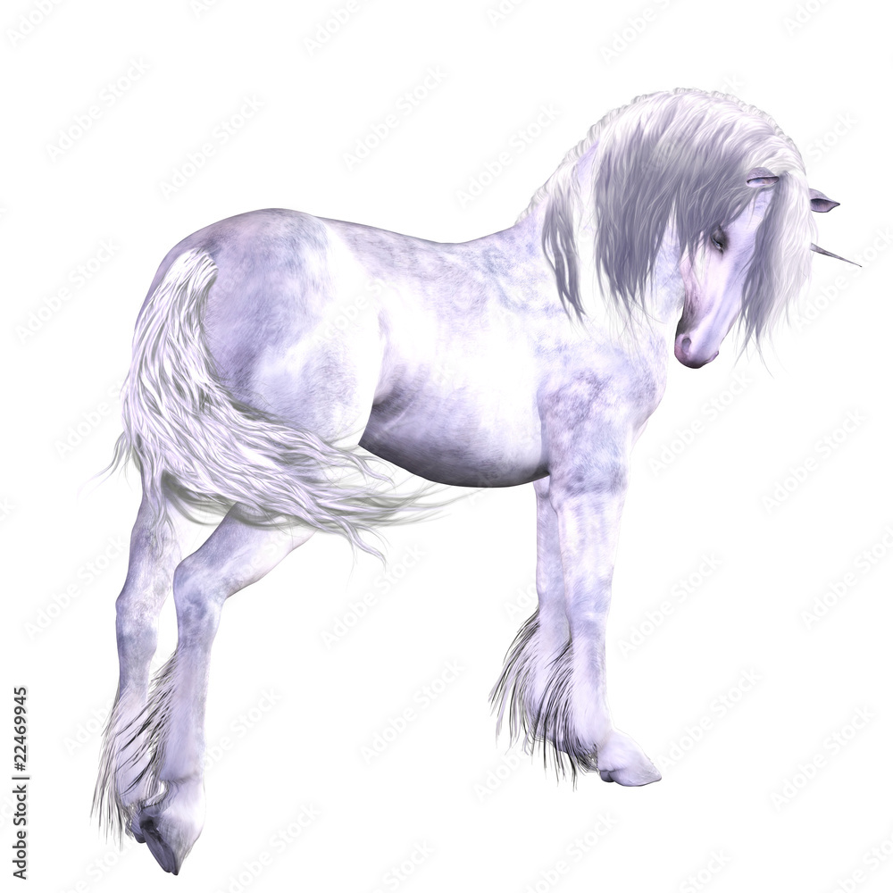 silver Unicorn Stock Illustration | Adobe Stock