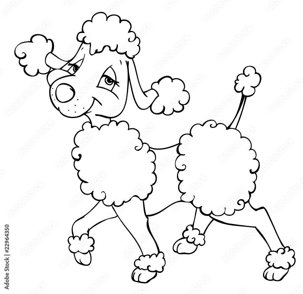 Stock-Vektorgrafik „Pudel, Hund, Hündin, Frisur, Friseur, Hundefriseur ...