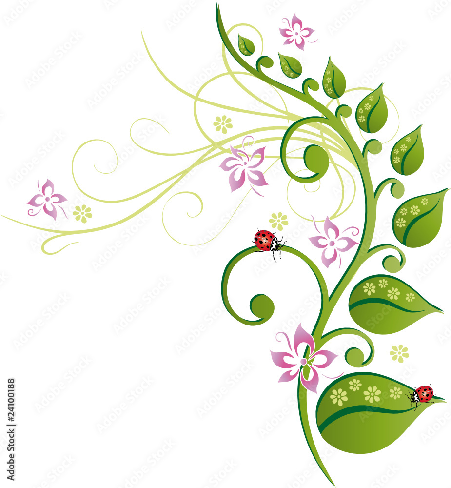 Blumen, Blüten, Ranke, floral, filigran, background Stock Vector ...