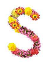 Floral Spring Letter Free Stock Photo - Public Domain Pictures