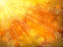 Autumn Theme Abstract Background Free Stock Photo - Public Domain Pictures