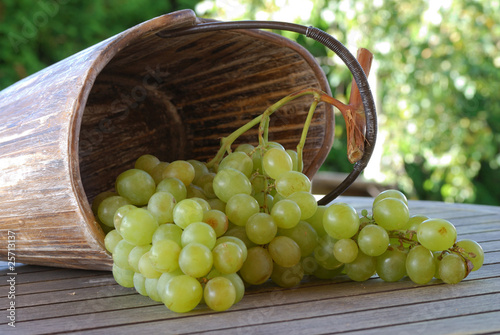 raisin blanc italia - Acheter cette photo libre de droit et découvrir ...
