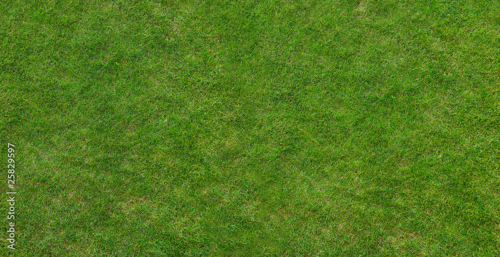 Canadian grass texture Stock Photo | Adobe Stock