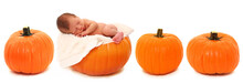 Baby Feet With Pumpkins Free Stock Photo - Public Domain Pictures