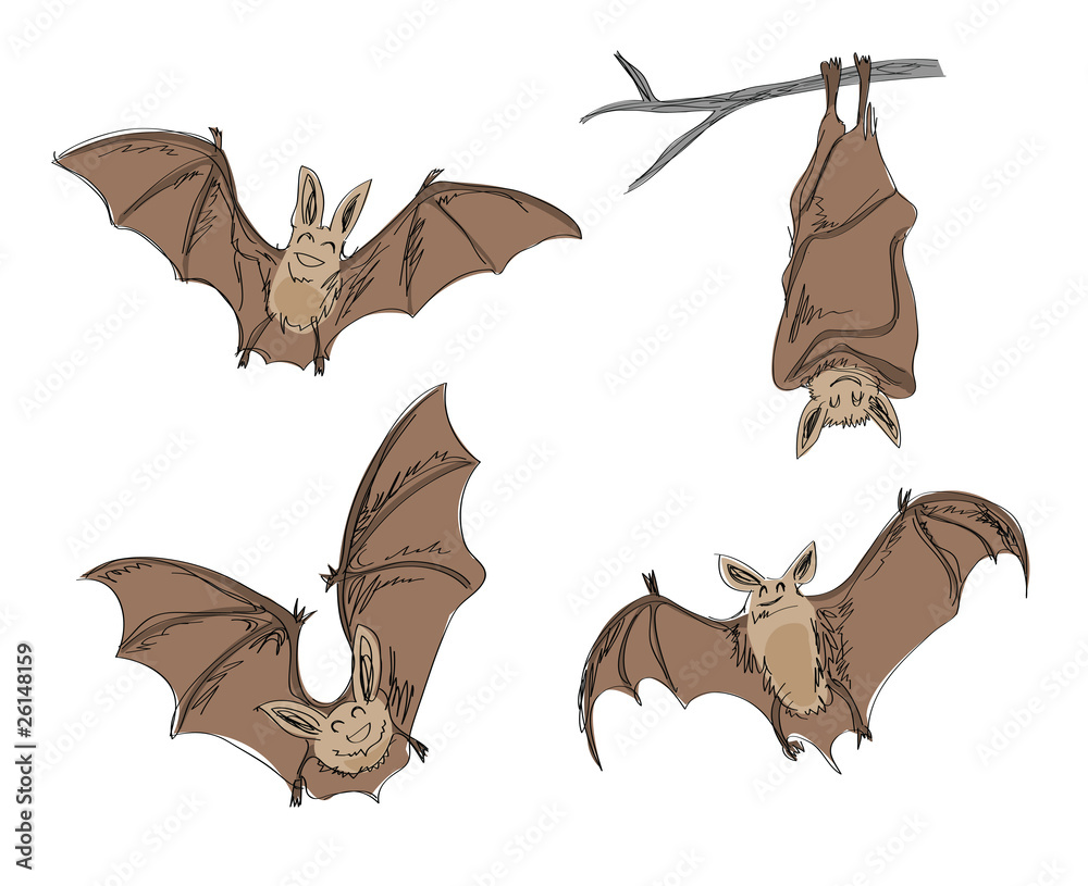 cartoon bats Stock Vector | Adobe Stock