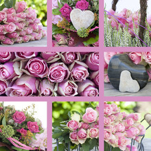 Flowers Roses Bouquets Collage Free Stock Photo - Public Domain Pictures