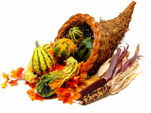 Thanksgiving Corucopia Food Horn Free Stock Photo - Public Domain Pictures