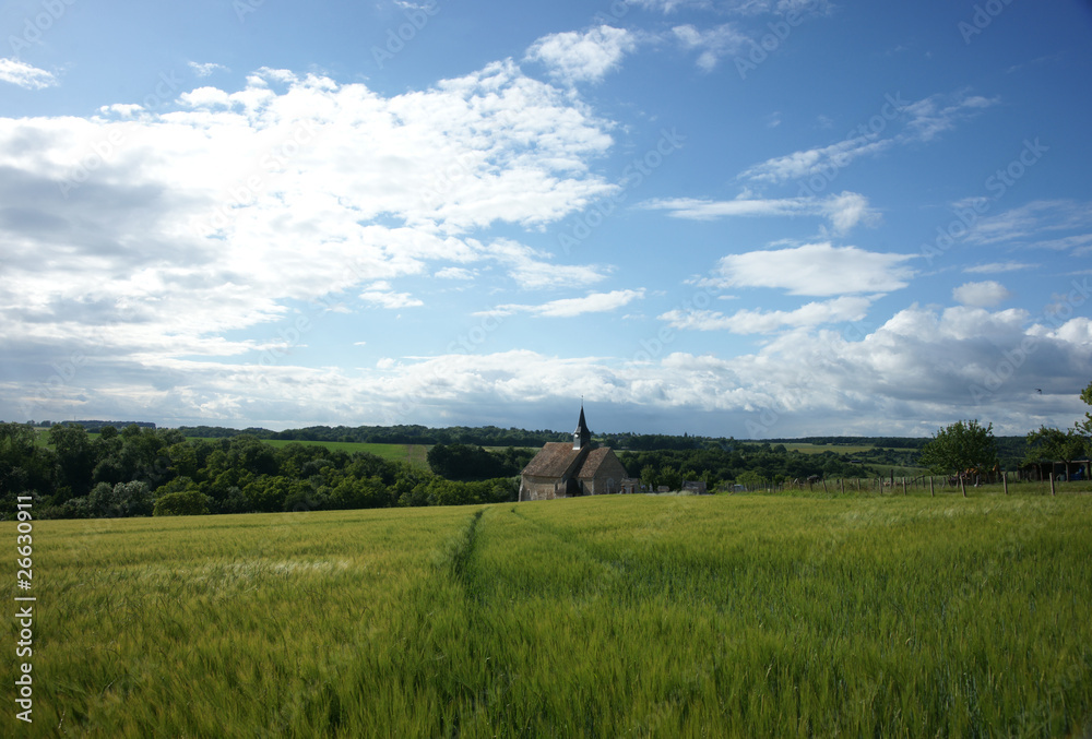 paysage campagne 42 Stock Photo | Adobe Stock