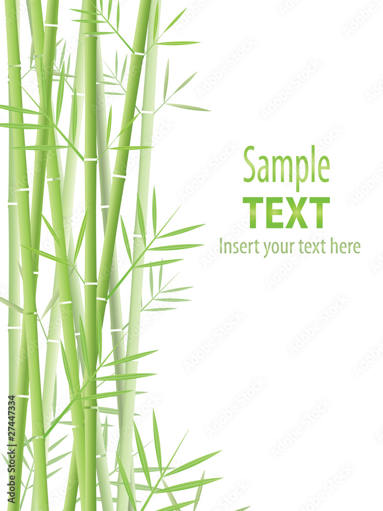 bamboo vector background Stock Vector | Adobe Stock