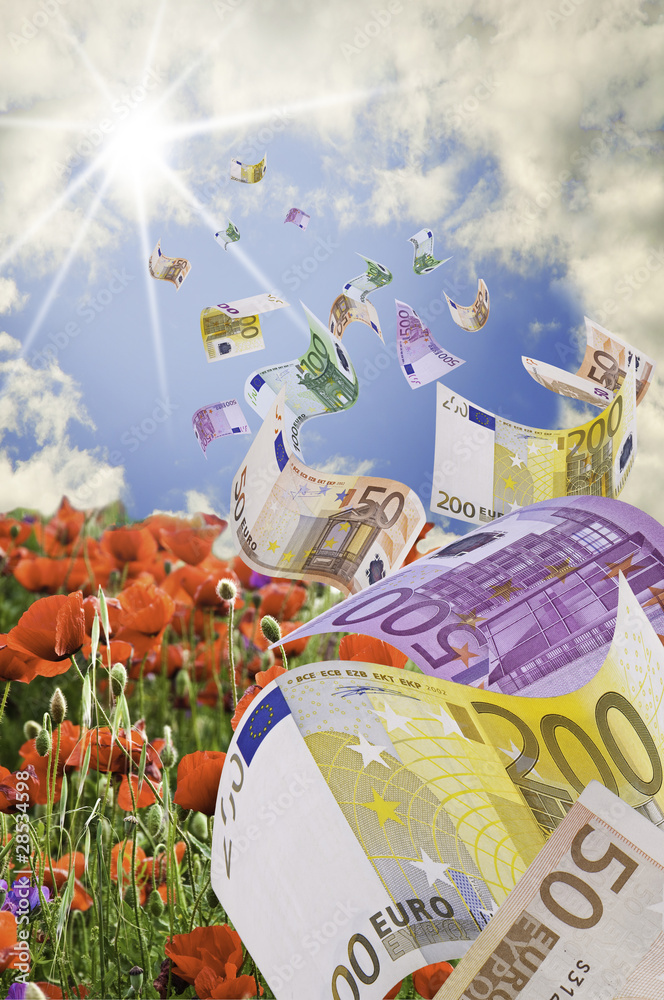Foto de Stock Billetes volando | Adobe Stock