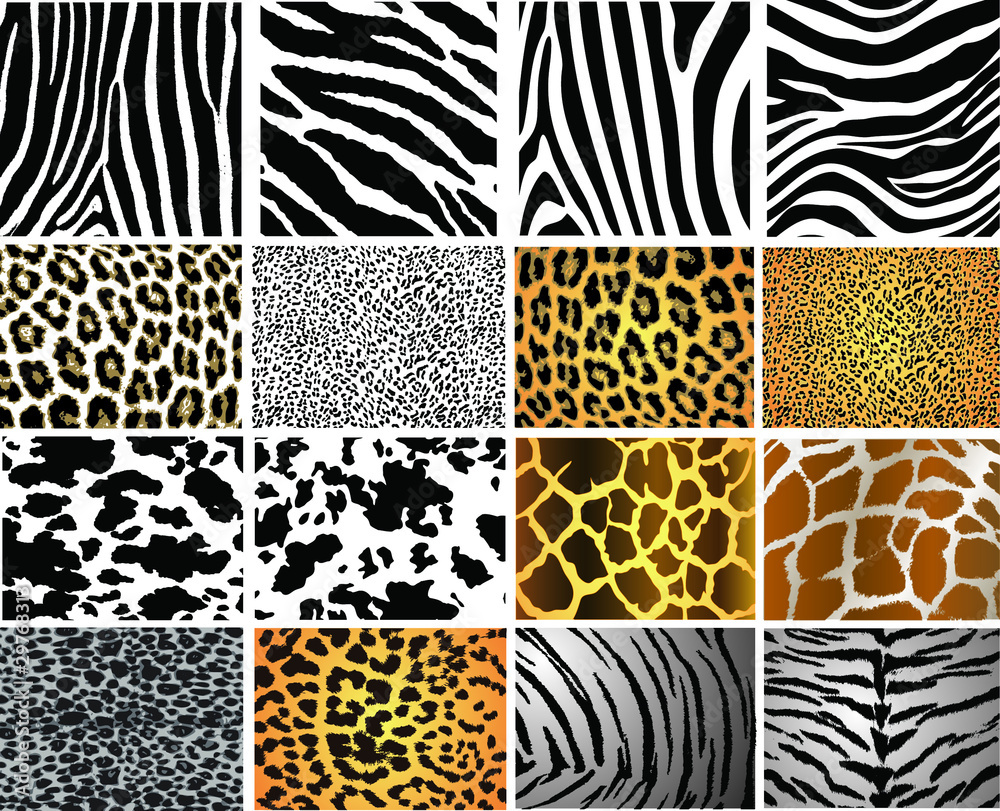 Collection of 16 vector skin animal texture Stock Vector | Adobe Stock