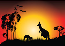 Kangaroo Sunset Silhouette Free Stock Photo - Public Domain Pictures
