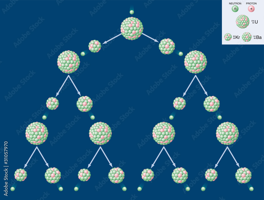 Vector de Stock Nuclear Fission And Chain Reaction Of Uranium ...