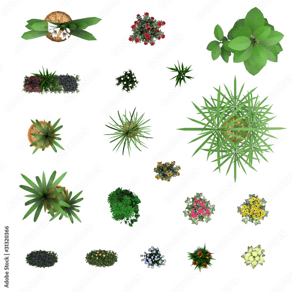 floor plan, plant set Stock Illustration | Adobe Stock