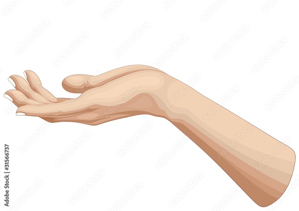 Mano Vectorial