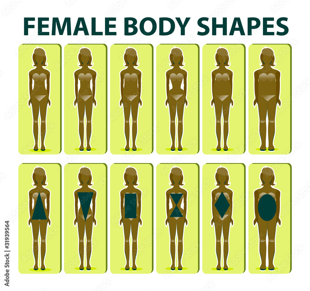 Female body shape or figure types. Woman collection. Body propor Stock ...