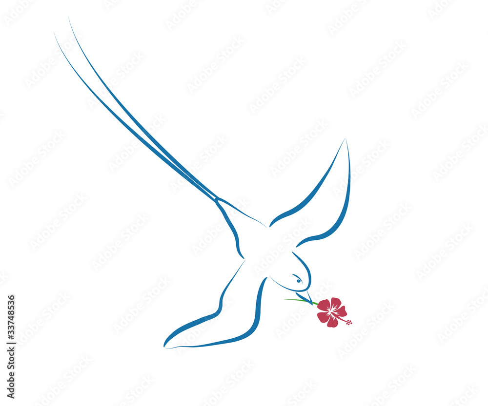 Image vectorielle Stock hibiscus et paille en queue | Adobe Stock