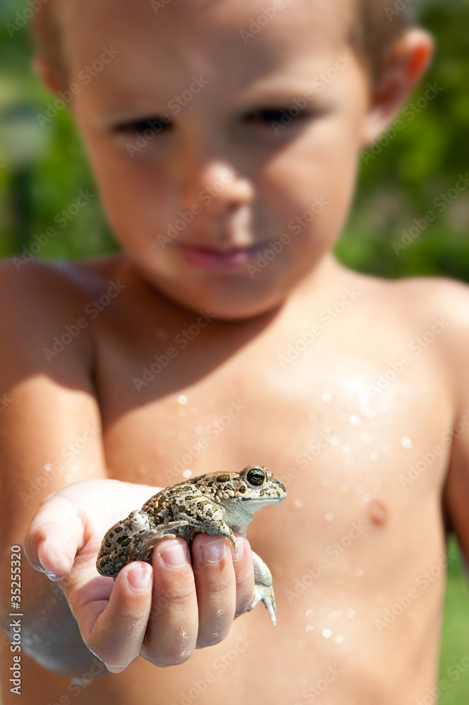 Little child holding a Frog. Stock Photo | Adobe Stock