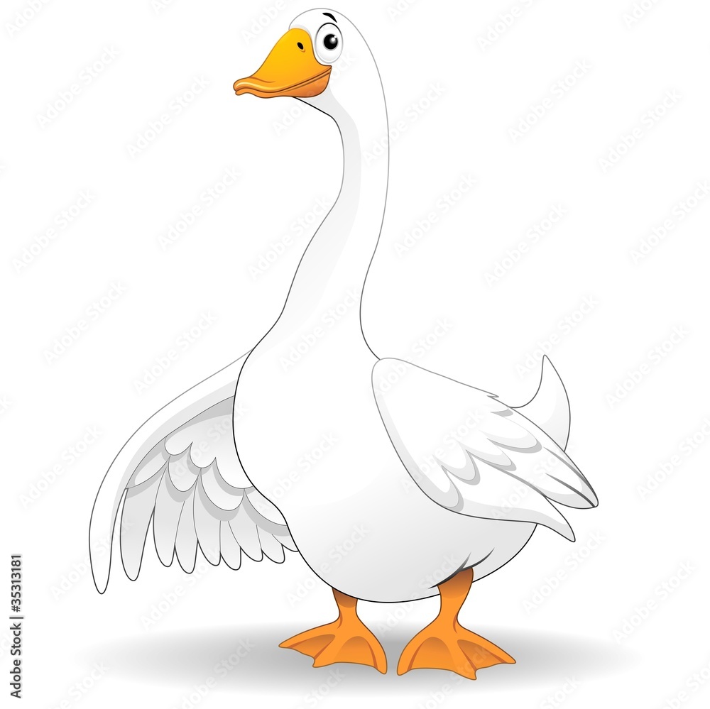 Vector de Stock Oca Papero Fumetto-Goose Duck Cartoon-Vector | Adobe Stock