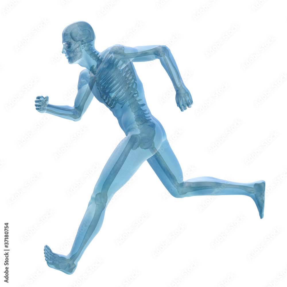 High resolution conceptual 3D human for anatomy Stock Illustration ...