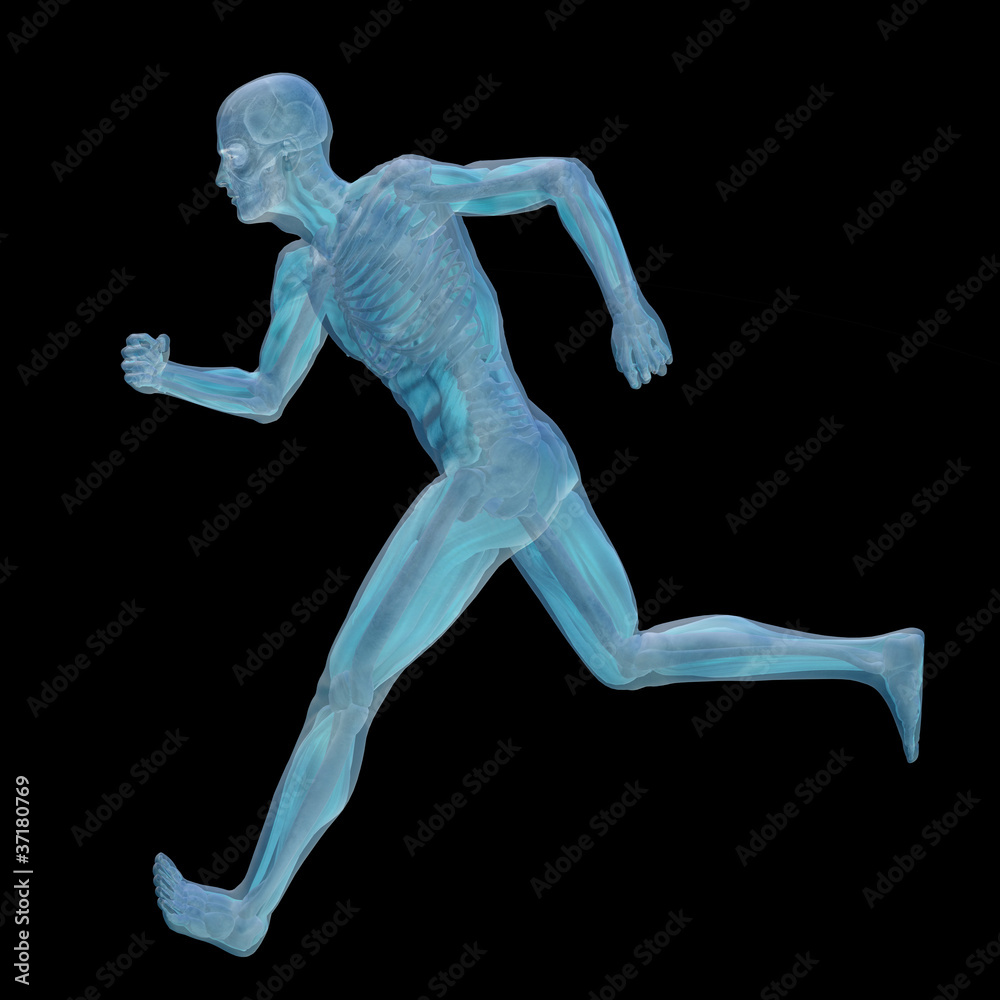 High resolution conceptual 3D human for anatomy Stock Illustration ...