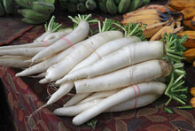 Daikon Free Stock Photo - Public Domain Pictures