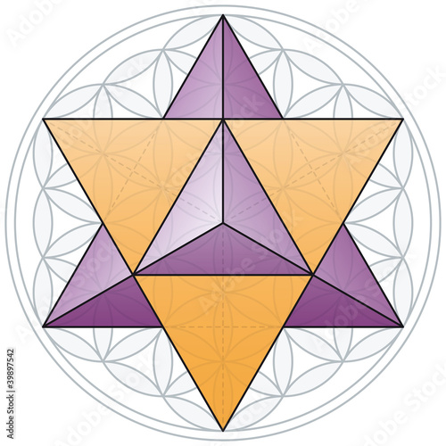 Cube, Straight edge & Compass : r/GeometryIsNeat