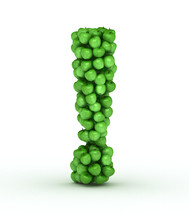 Vegetable Exclamation Mark Free Stock Photo - Public Domain Pictures