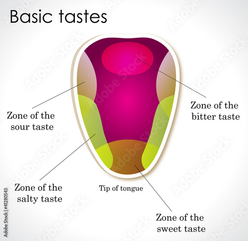 Human tongue. One of the traditional five senses. Taste. Stock ...