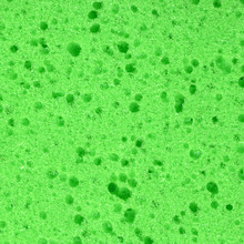 Green Sponge Free Stock Photo - Public Domain Pictures