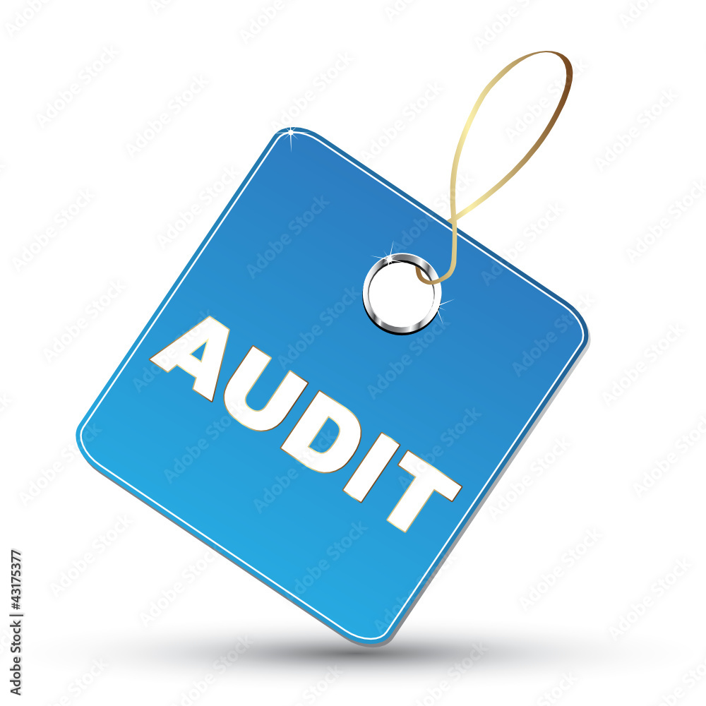 AUDIT ICON Stock Vector | Adobe Stock