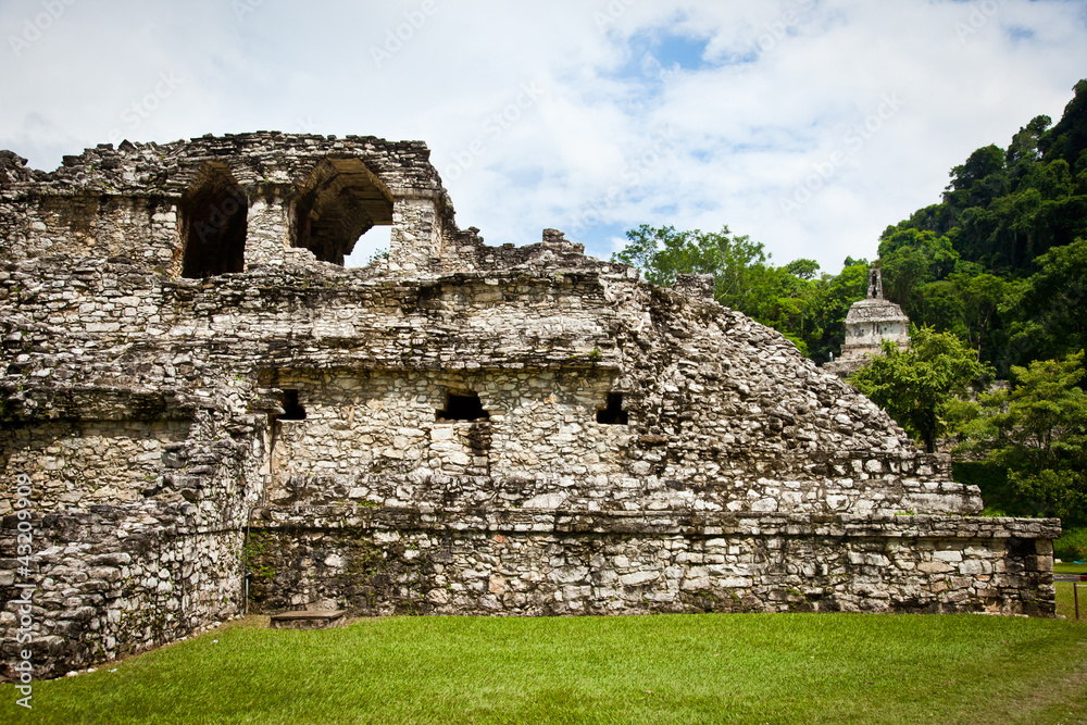 Mayan ruins in the site of Palenque, Mexico. Stock Photo | Adobe Stock