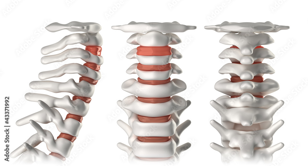 Spine anatomy cervical region - lateral, anterior, posterior Stock ...