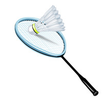 Shuttlecocks And Badminton Racket Free Stock Photo - Public Domain Pictures